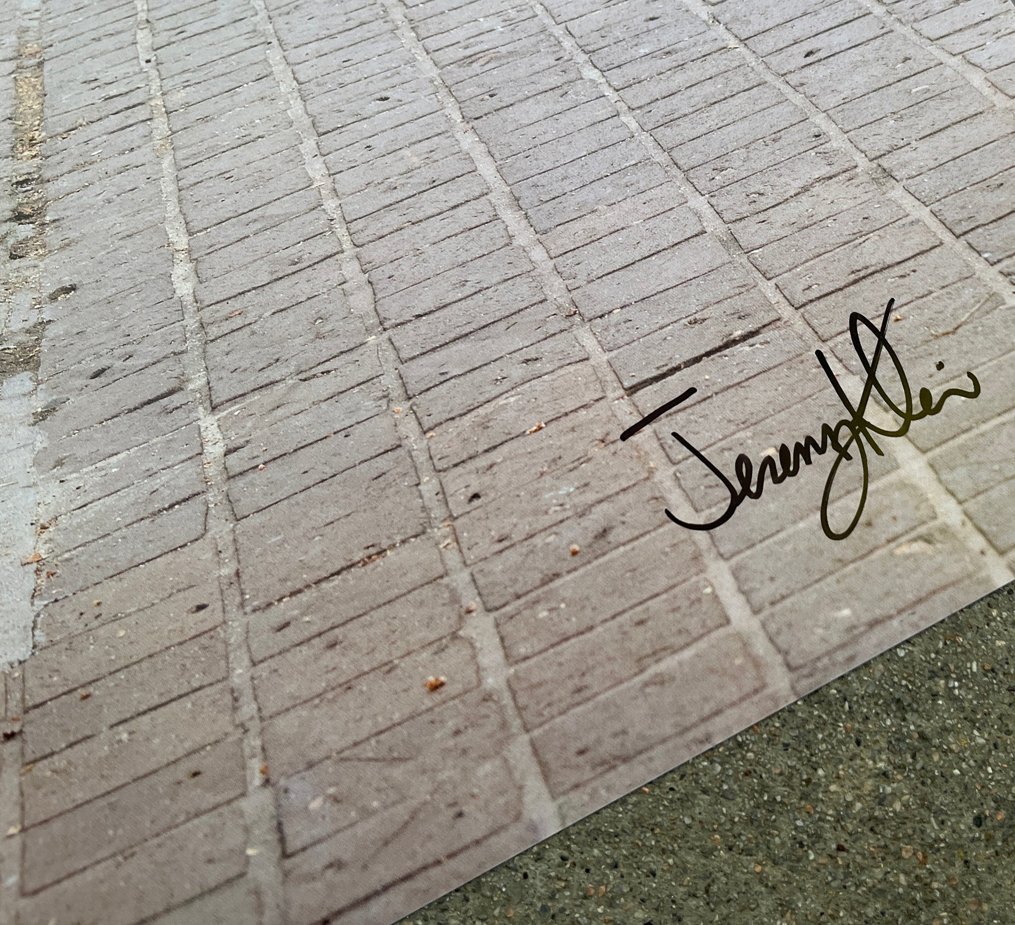 SIGNED jeremy klein 360 ollie at bricks poster 24 X16 – jk industries